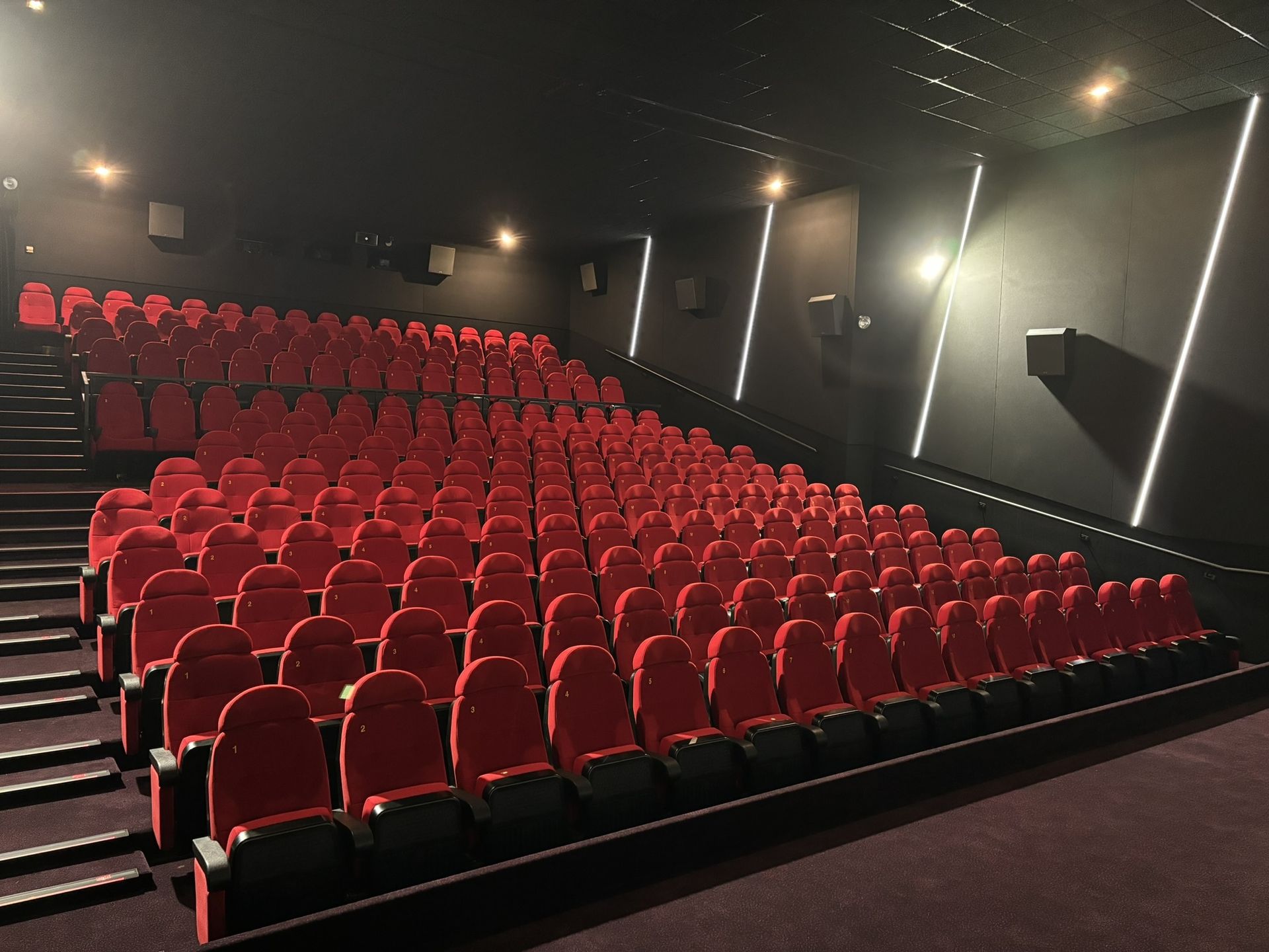 CinemaNext Successfully Completes Renovation of Les Cinemas Capitole in ...